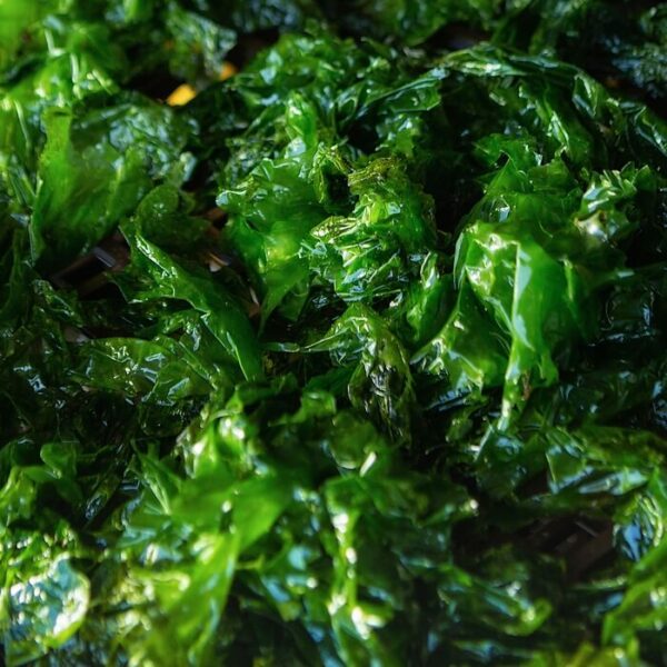 Qui sommes-nous - Algues Alimentaires pour Professionnels